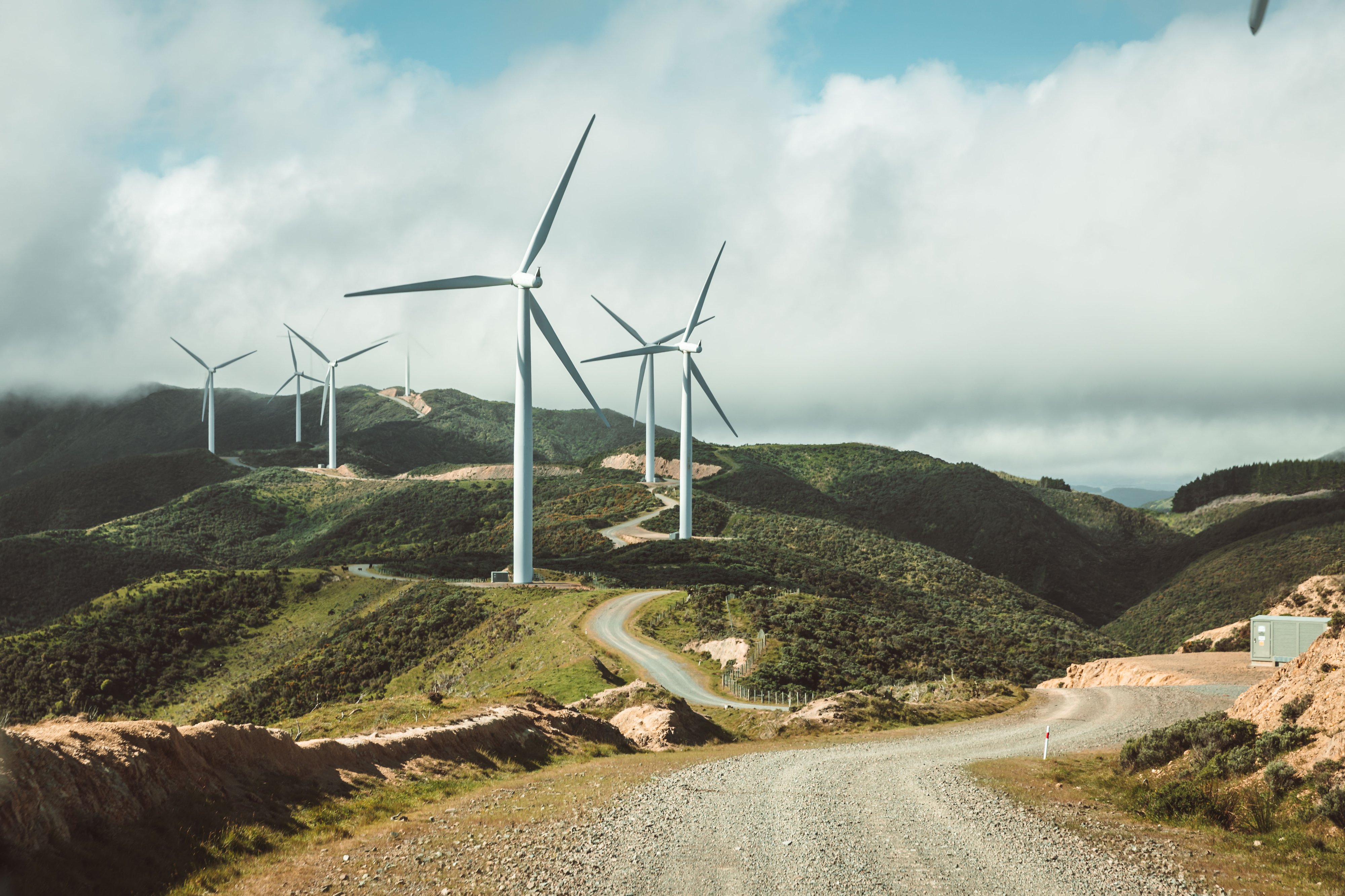 Home [sealcoastsafari.nz]